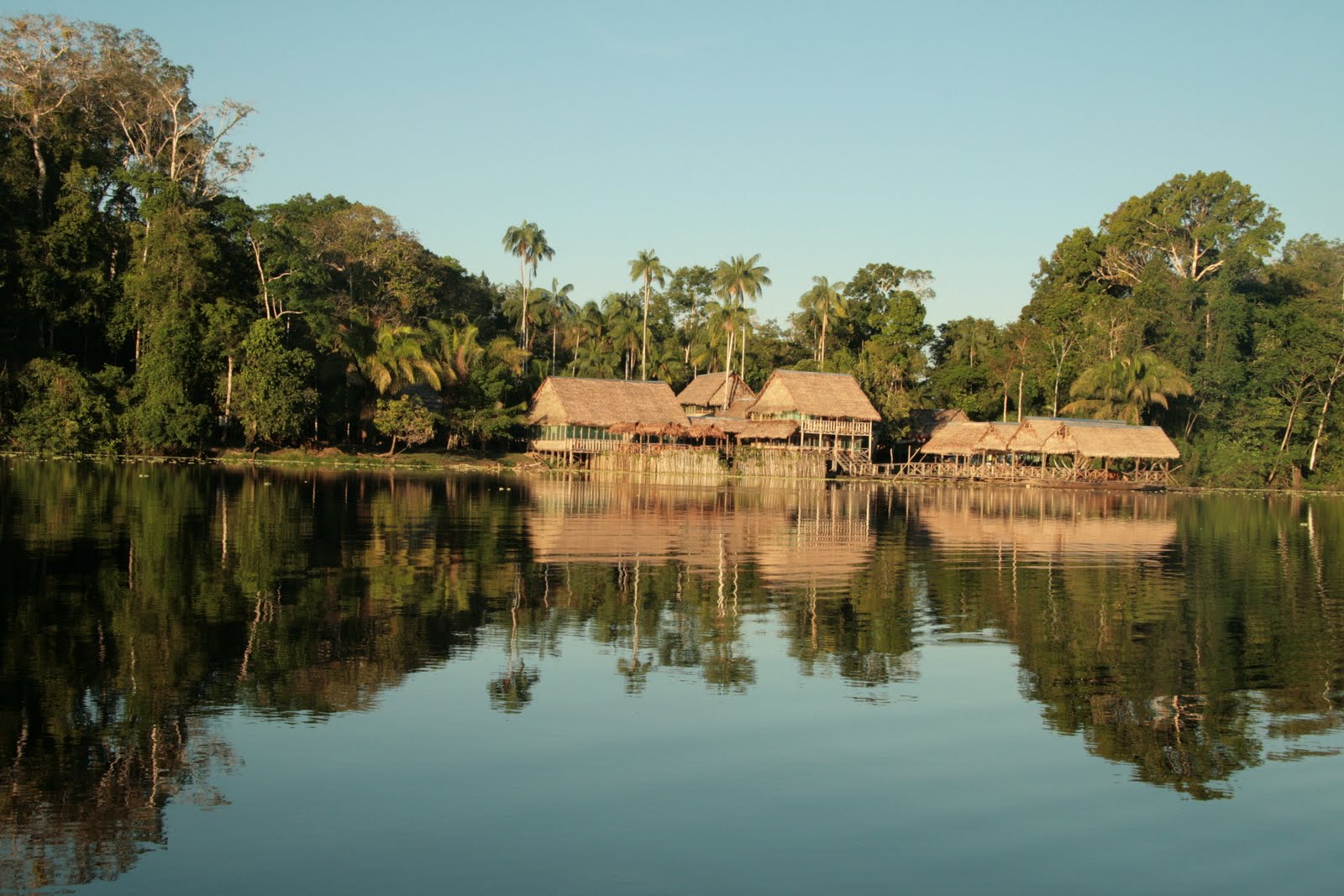 Amazonas | Choose Your Own Adventure