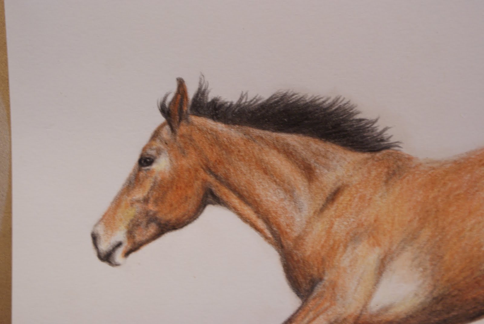 minemalerier: Hest - fra skisse til ferdig tegning