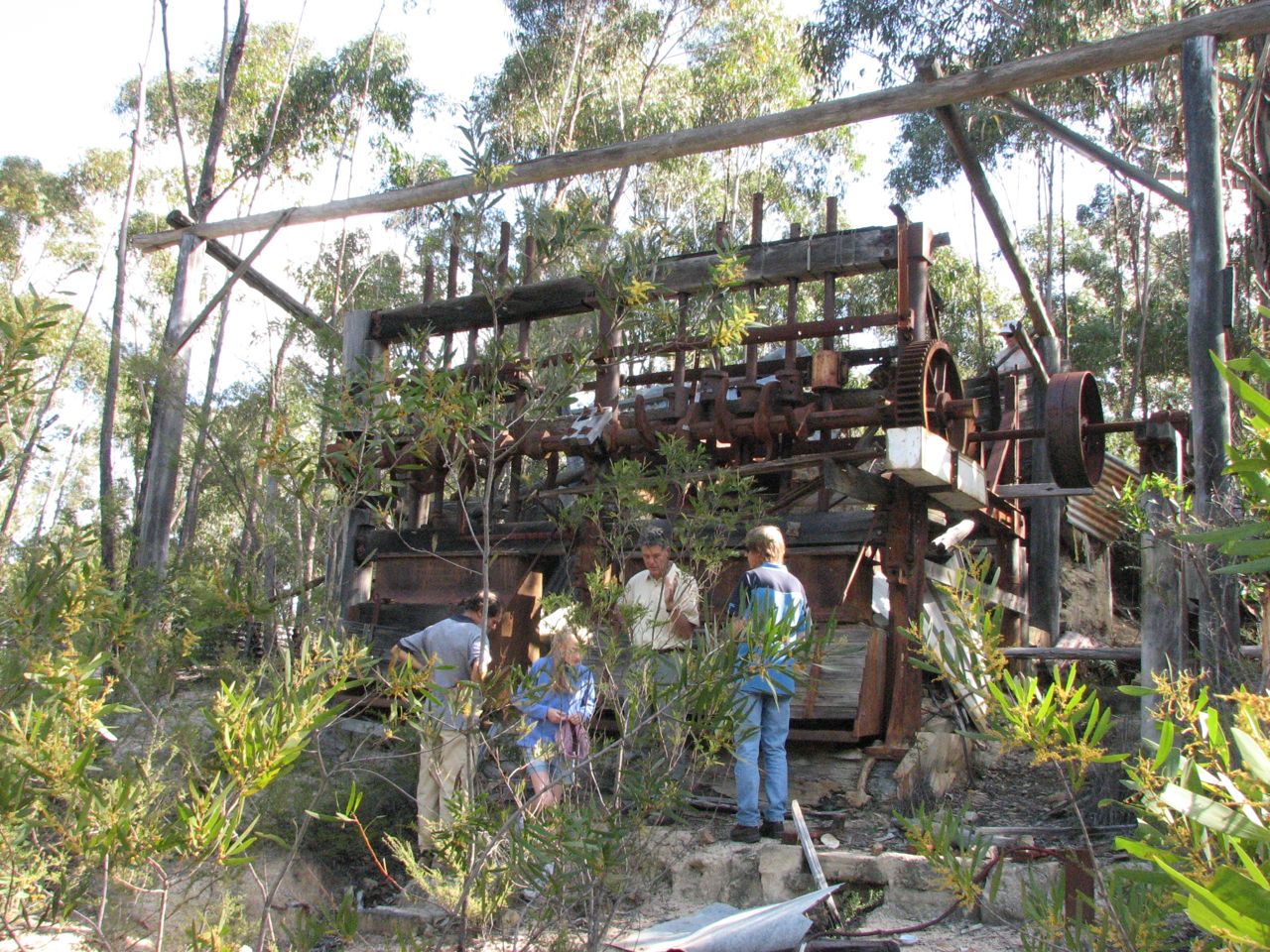 Bega Valley Bushwalkers 2010 blog