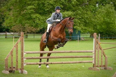 Quantum Photographic: RDA Horse Show at Denne Hill