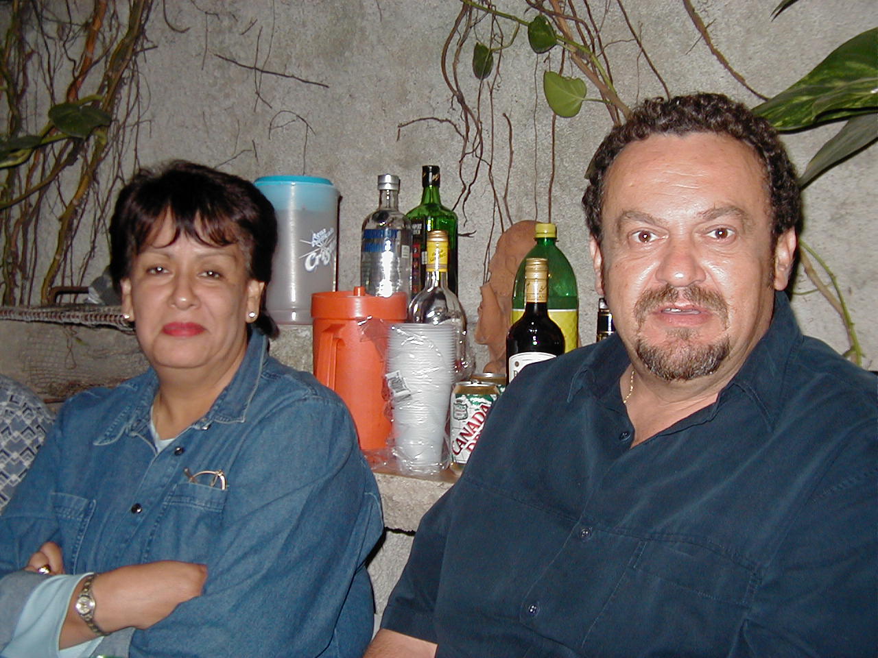EN LA CABEZA DE LUCAS: julio 2010