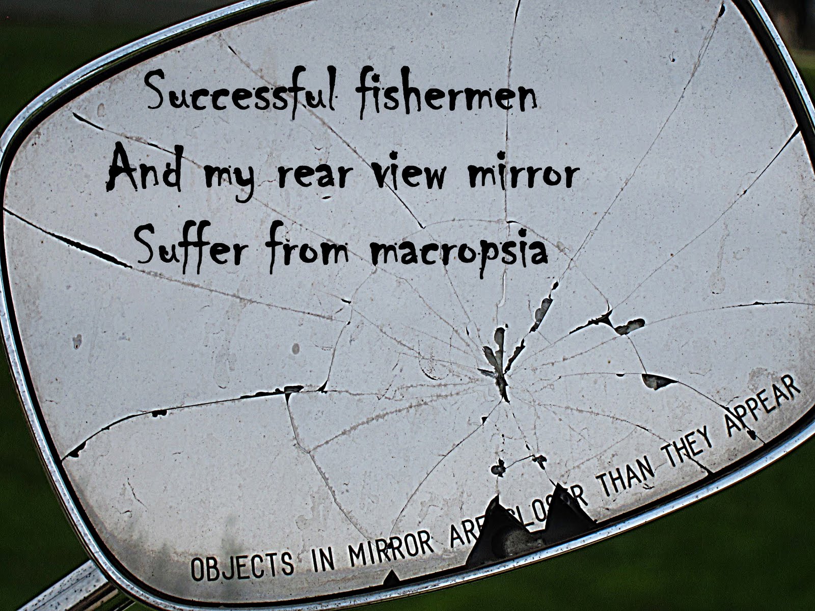 Word of the day! Fresh! Fresh! Fresh!: Macropsia