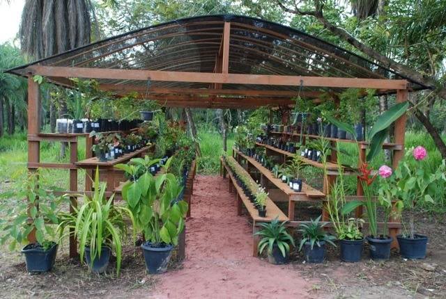 Idéias para campos e jardins: Viveiro para Plantas e Mudas