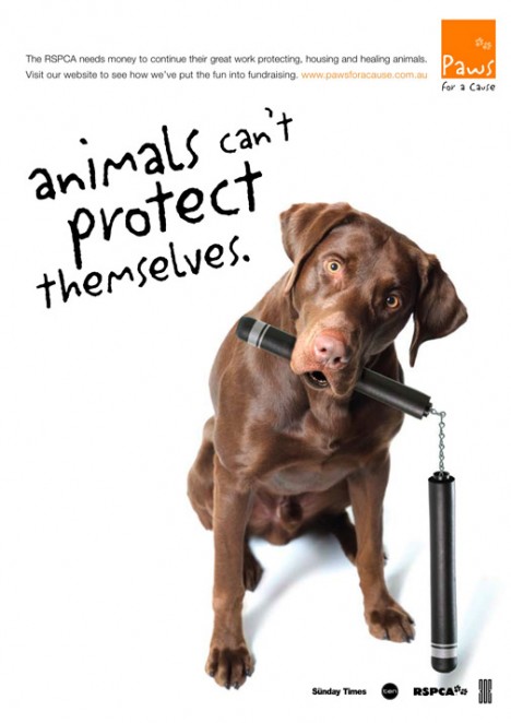 Design-Deliberation: PAWS FOR A CAUSE
