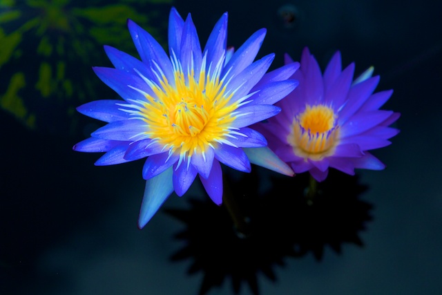 The Duenitas Digital World: Understanding Contrast in Photography