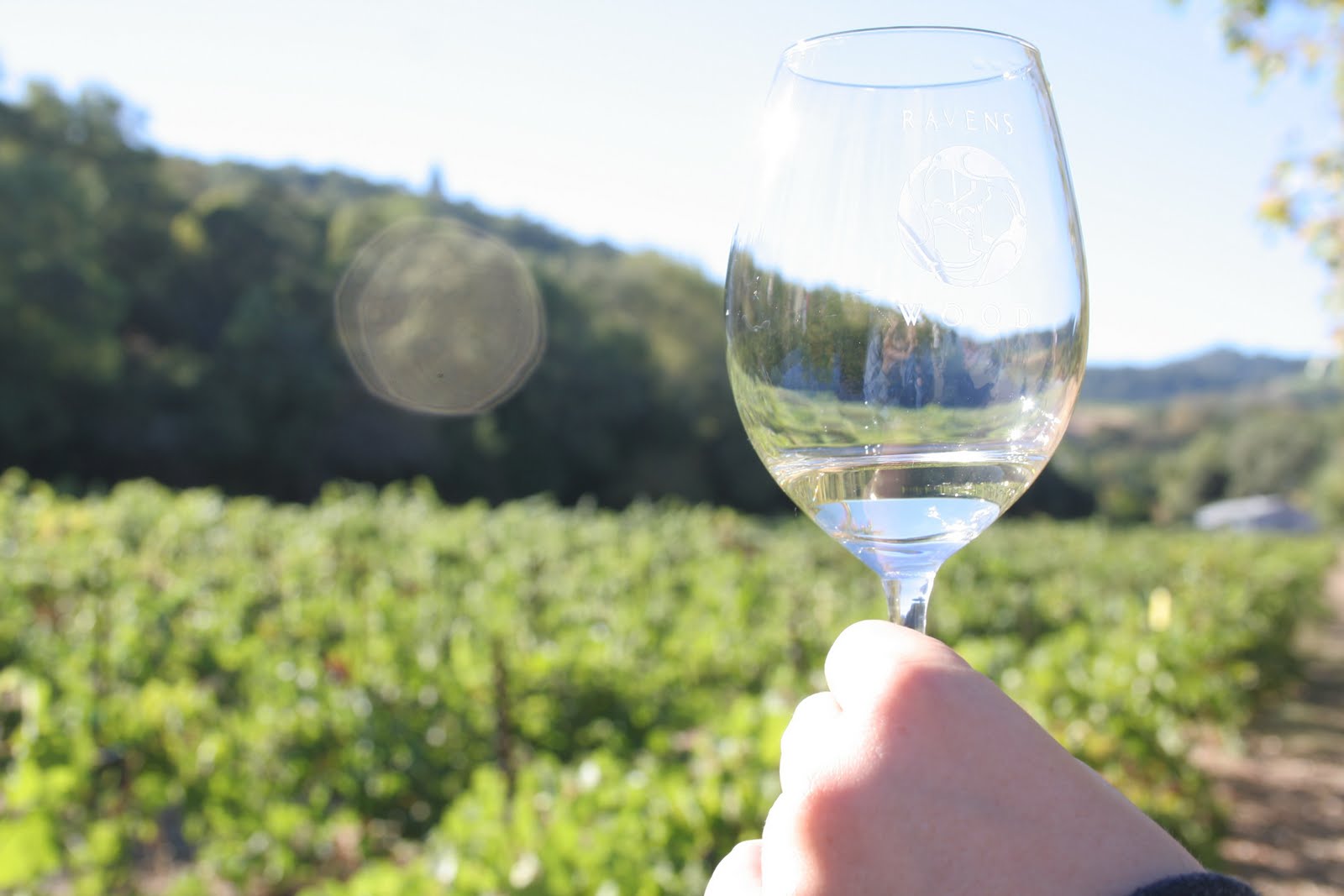 Food, Wine, & (Agri)Culture: Northern California