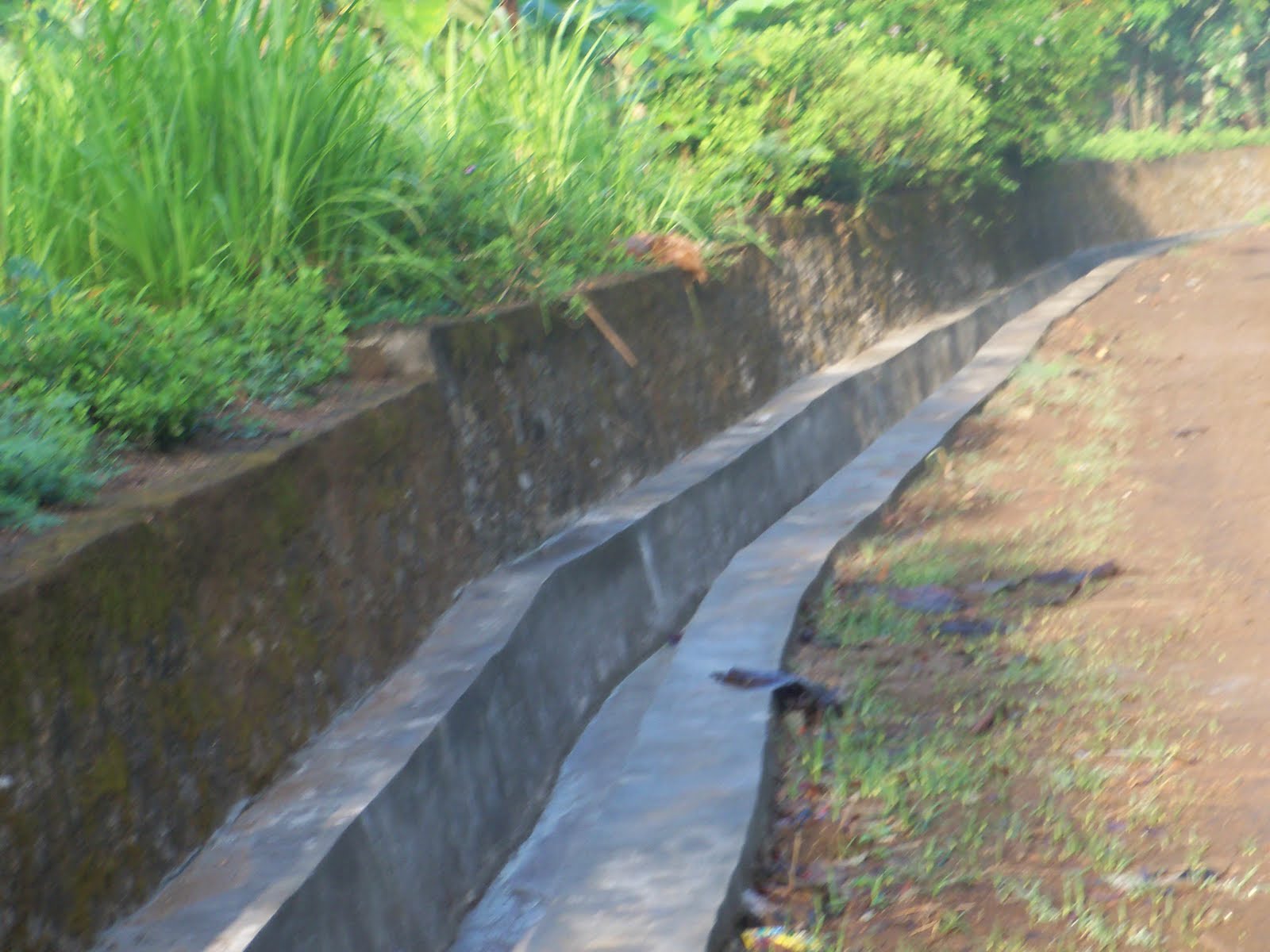 Sistem Drainase Berwawasan Lingkungan | Blogs Aksara