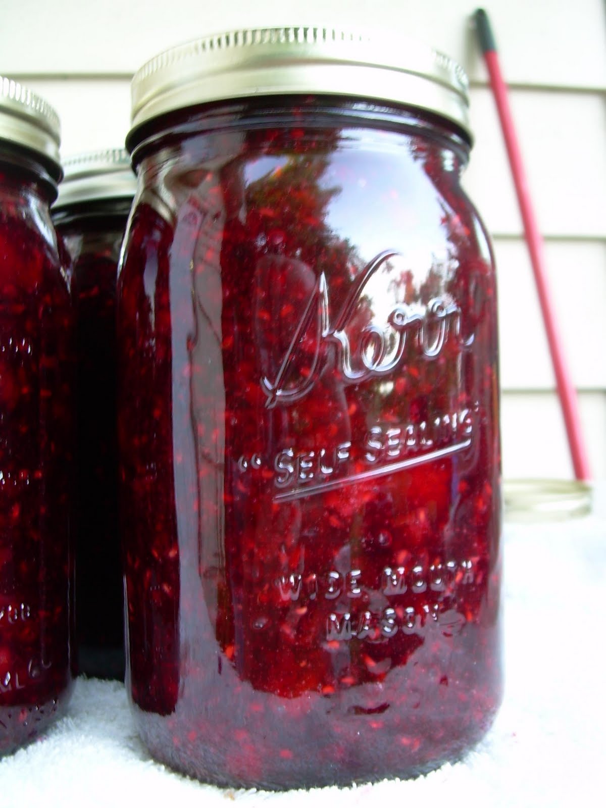 life....: Canned Raspberry Marion Berry Pie Filling