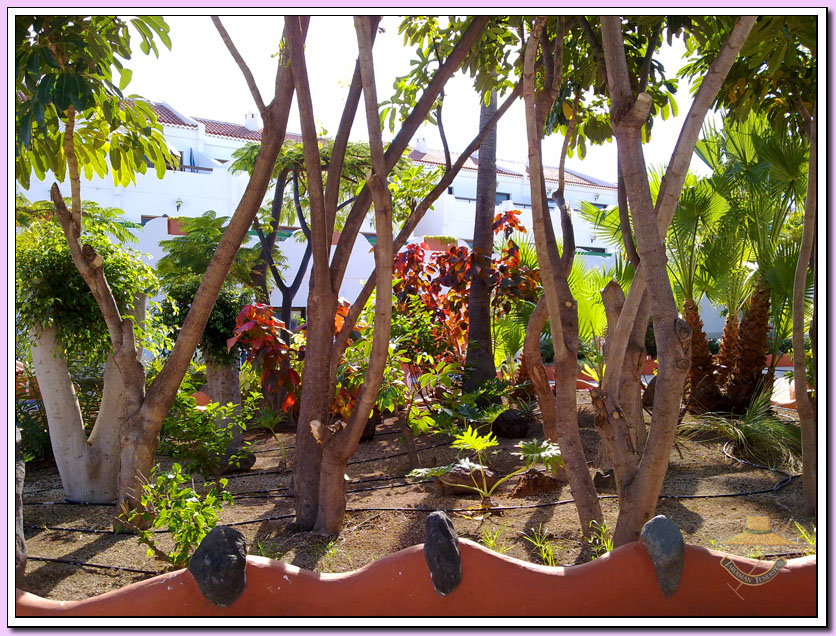 Jardiman Post Mantenimiento: PARQUE DON JOSE