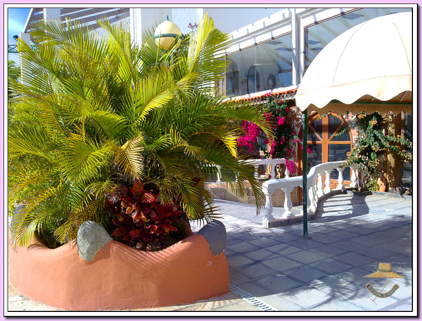 Jardiman Post Mantenimiento: PARQUE DON JOSE