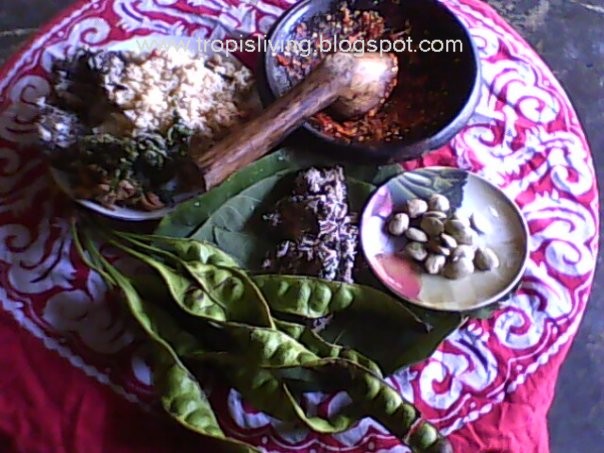 thiwul rice ~ Uniquely Indonesia