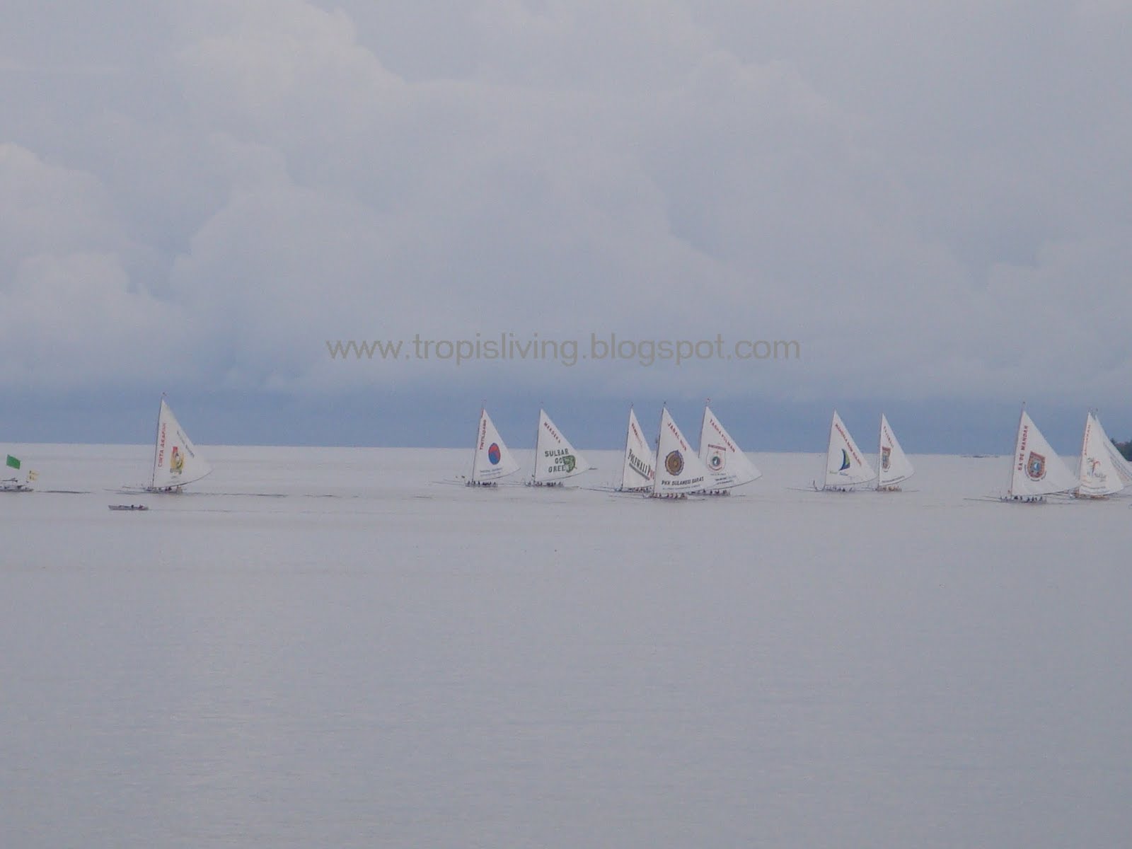 sandeq race 2010 ~ Uniquely Indonesia