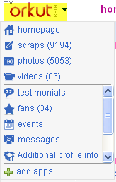Orkut's New Stunning Interface - More Features Updated