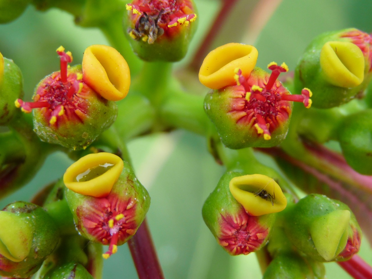 Journey to the East: Journey to the South Part II