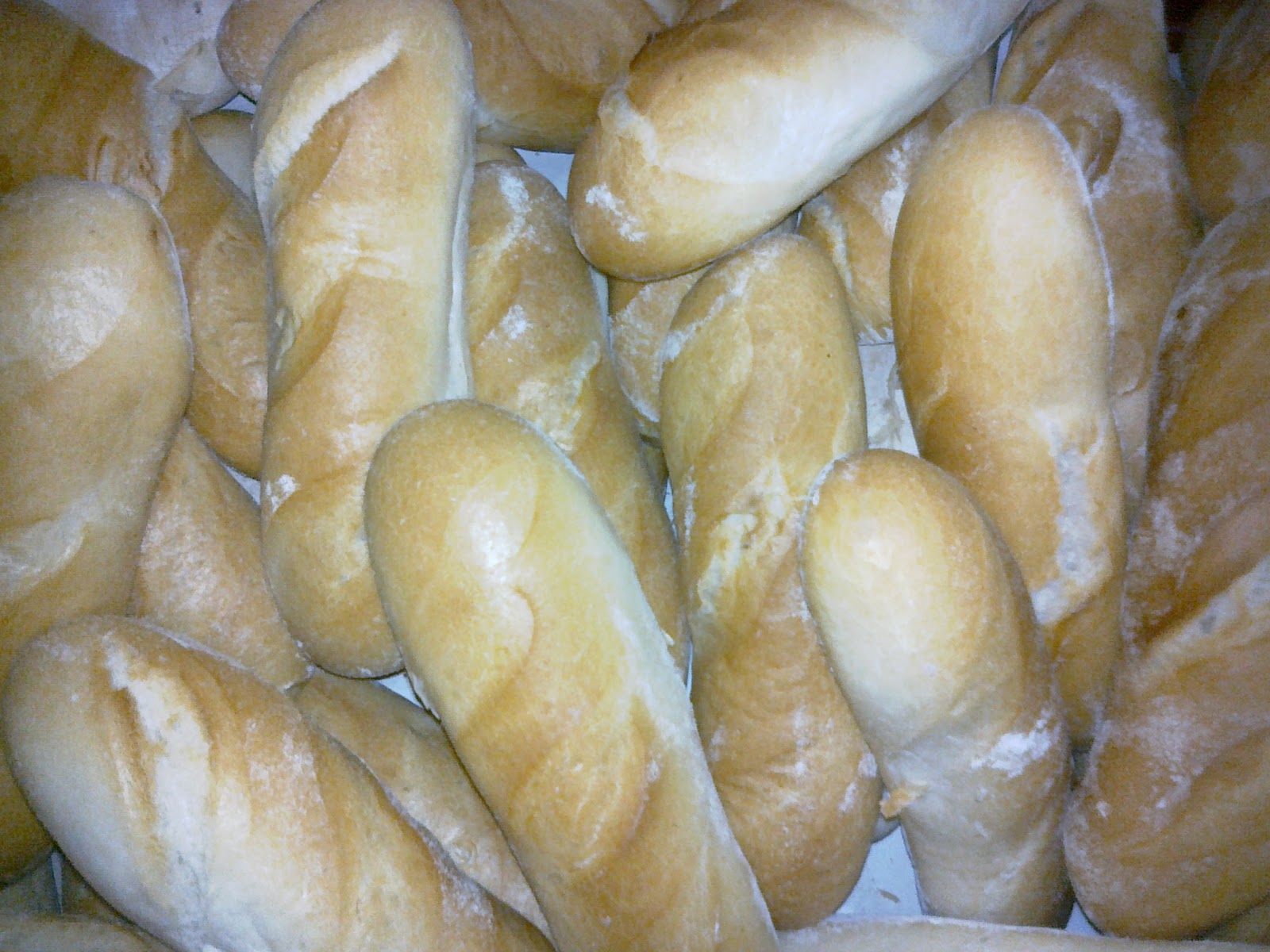 COMPANIA FINTA _________________: PANIFICATIE