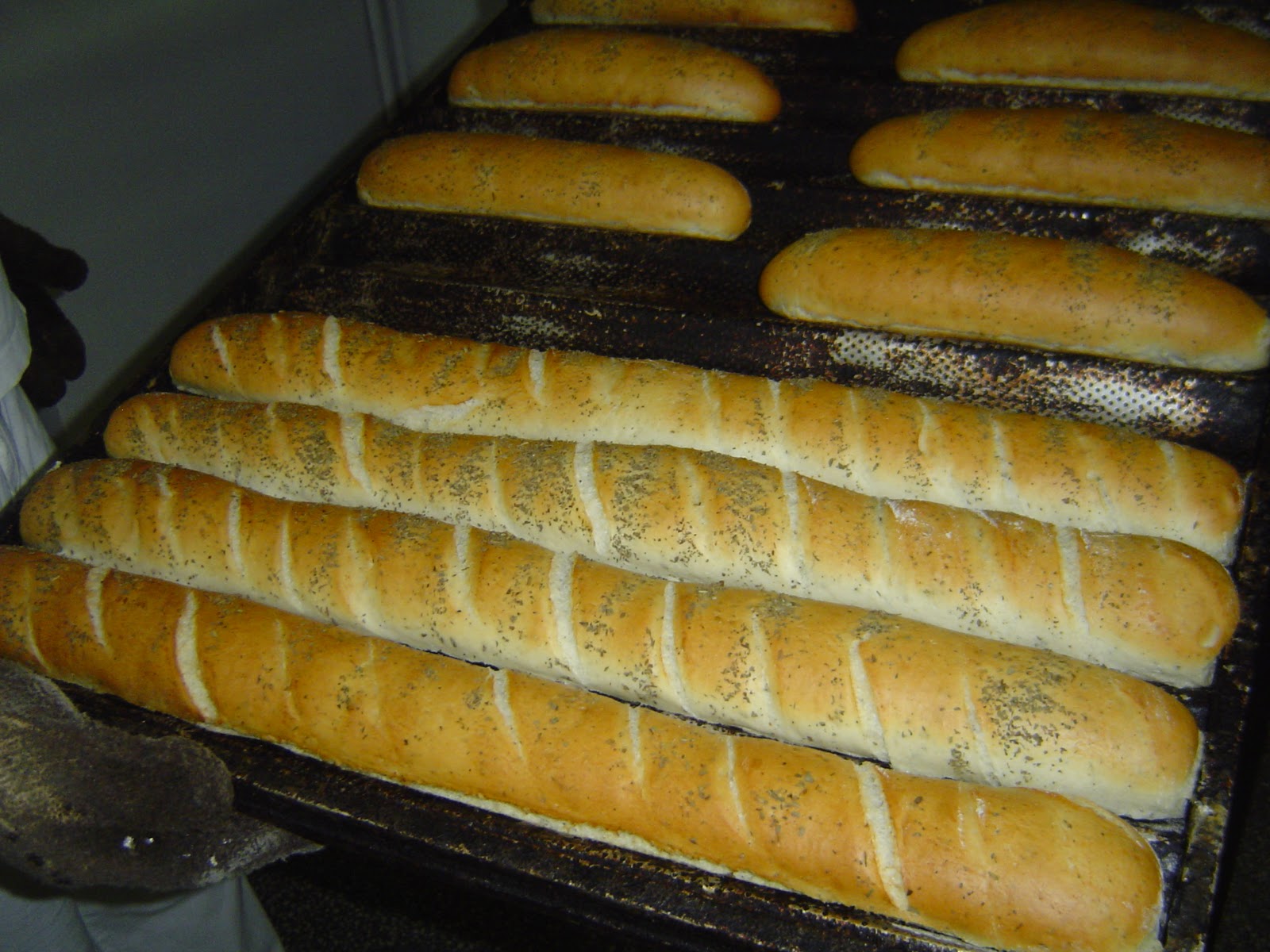 COMPANIA FINTA _________________: PANIFICATIE