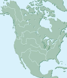 Ecofriendly: Fat Pocketbook Pearly Mussel