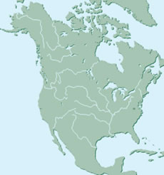 Ecofriendly: Madison Cave Isopod