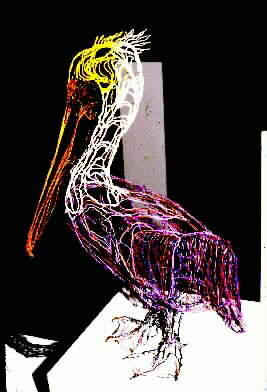 Drawing A Blank: Elizabeth Berrien.