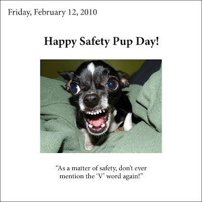 Holiday of the Day: Happy Safety Pup Day!