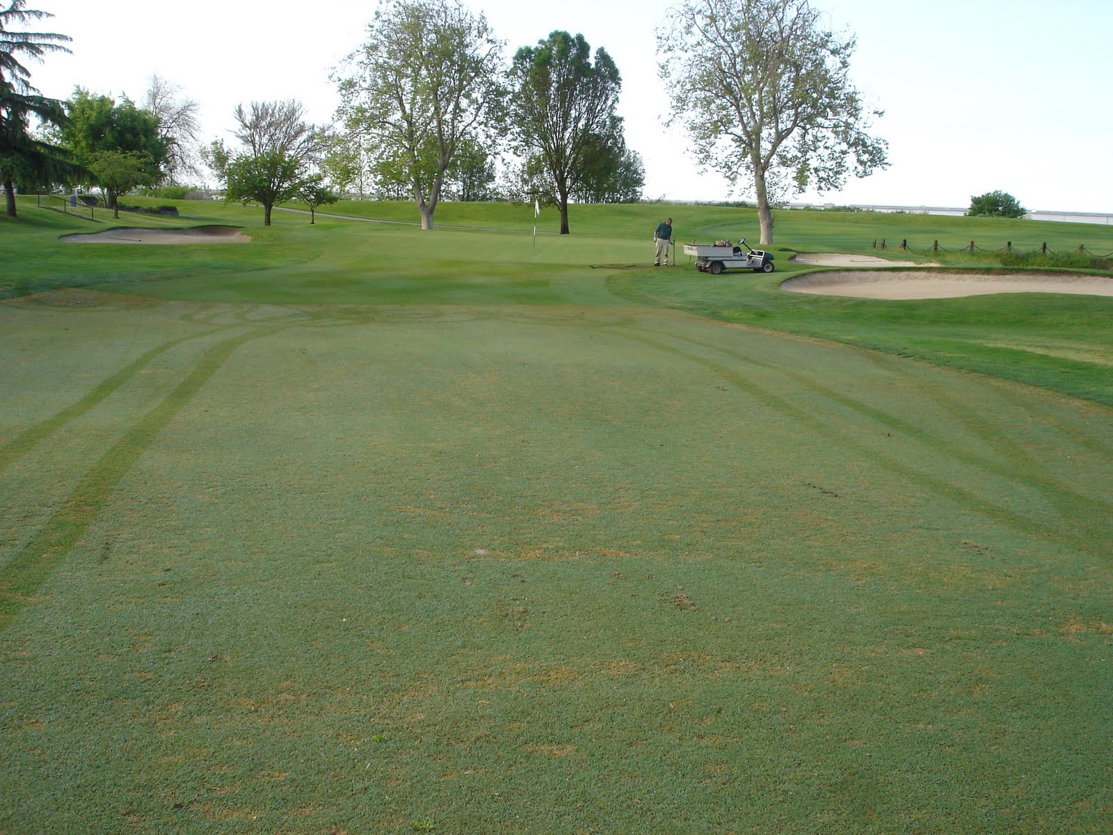 Stockton Golf & CC Turf Page: Bring on the heat, the bermuda is ready