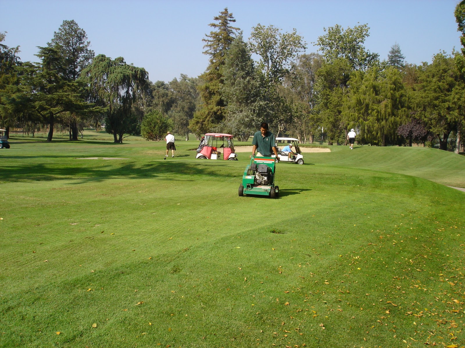 Stockton Golf & CC Turf Page: Overseeding Methods