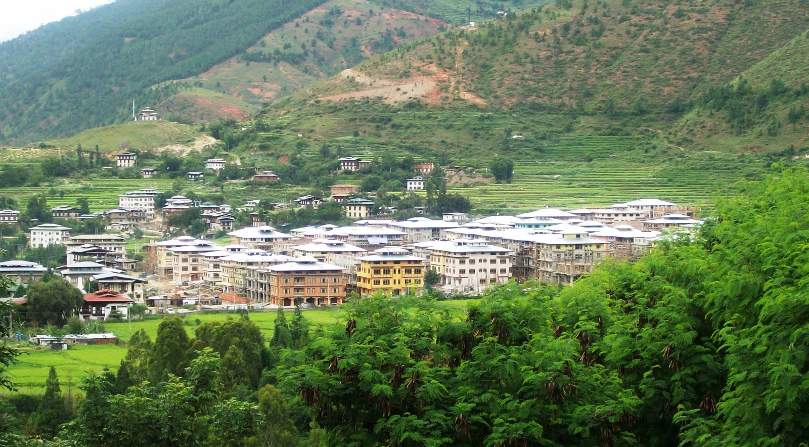 Once beaten, never shy to get beaten twice ~ And there's more to life