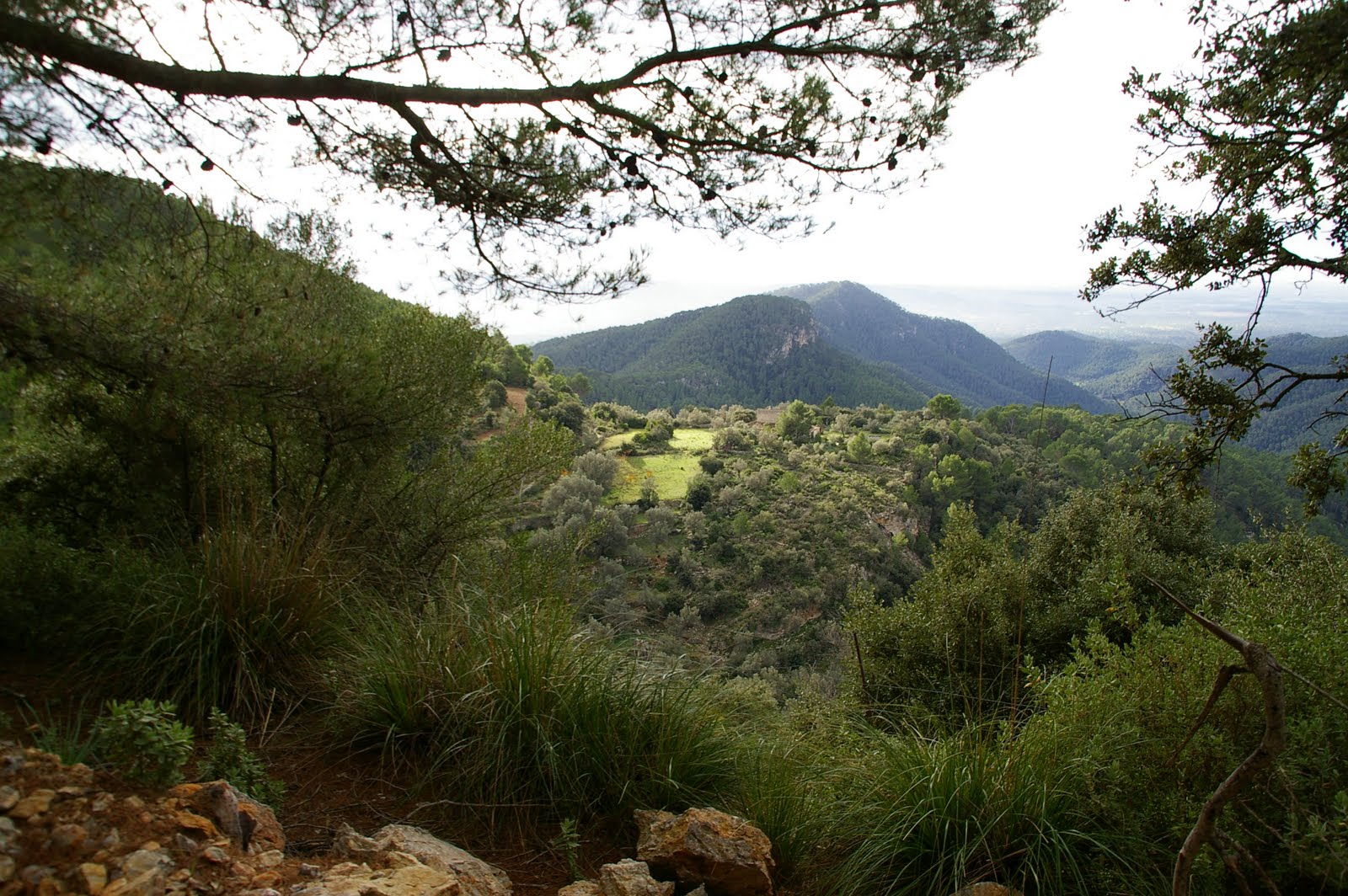 TRESQUES PER TRAMUNTANA: SA TALAIA DE CAL REIS