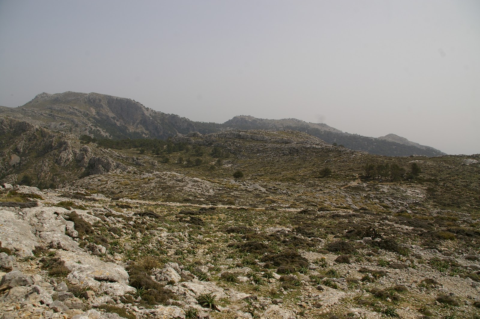 TRESQUES PER TRAMUNTANA: ES CINGLES DE SON RULLAN