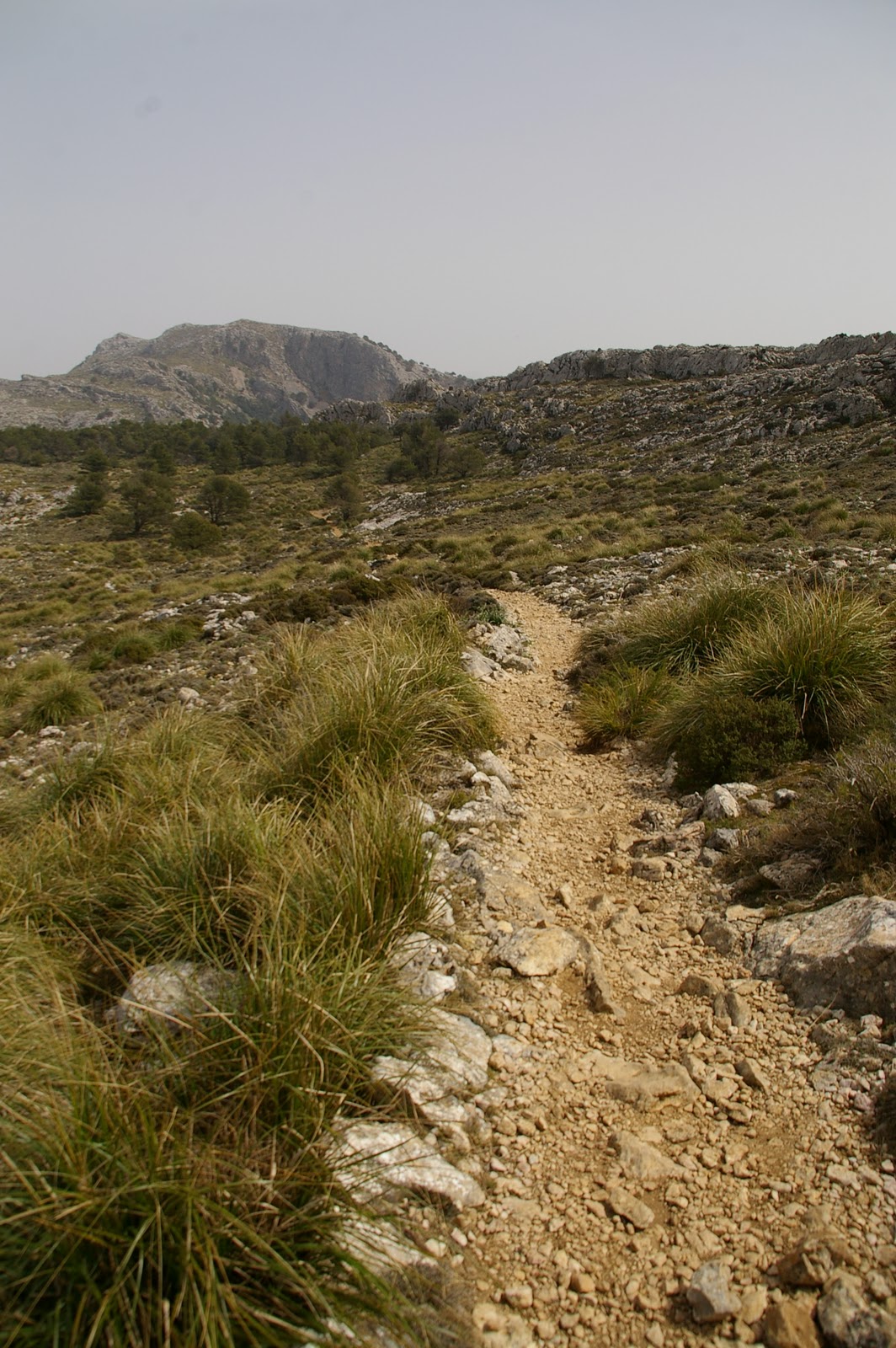 TRESQUES PER TRAMUNTANA: ES CINGLES DE SON RULLAN