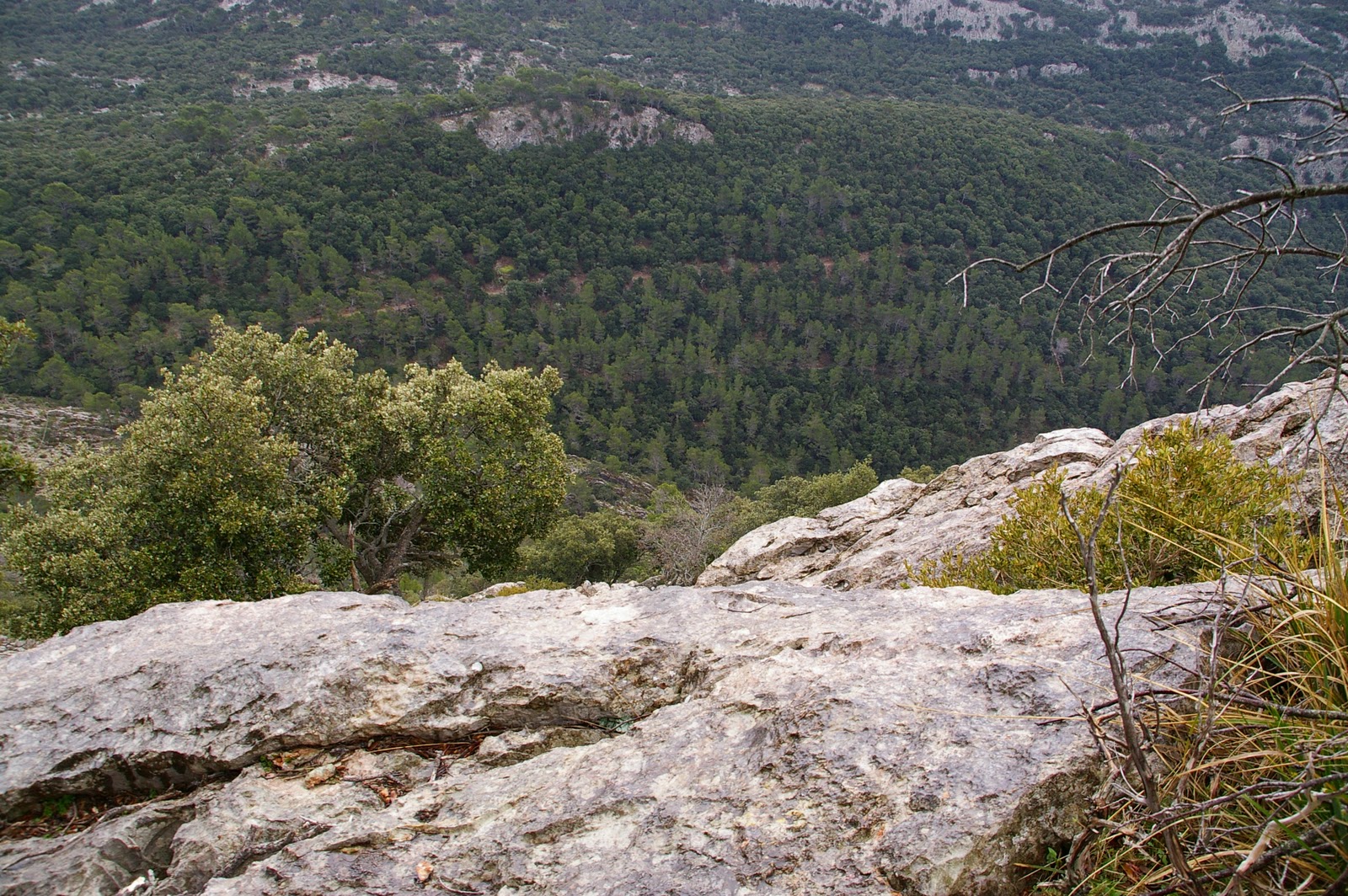 TRESQUES PER TRAMUNTANA: SA RATETA