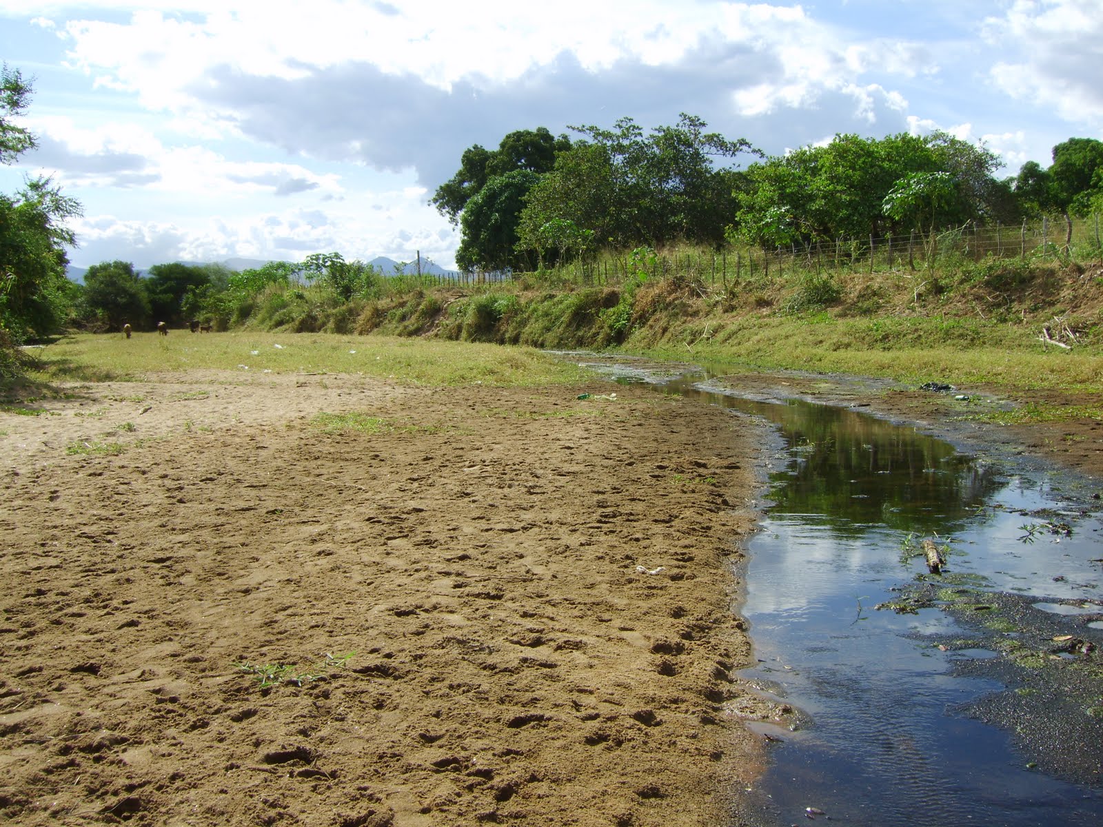 Trilha Ecológica Mário Uchôa: Rio Intermitente - Rio Aracoiaba ...