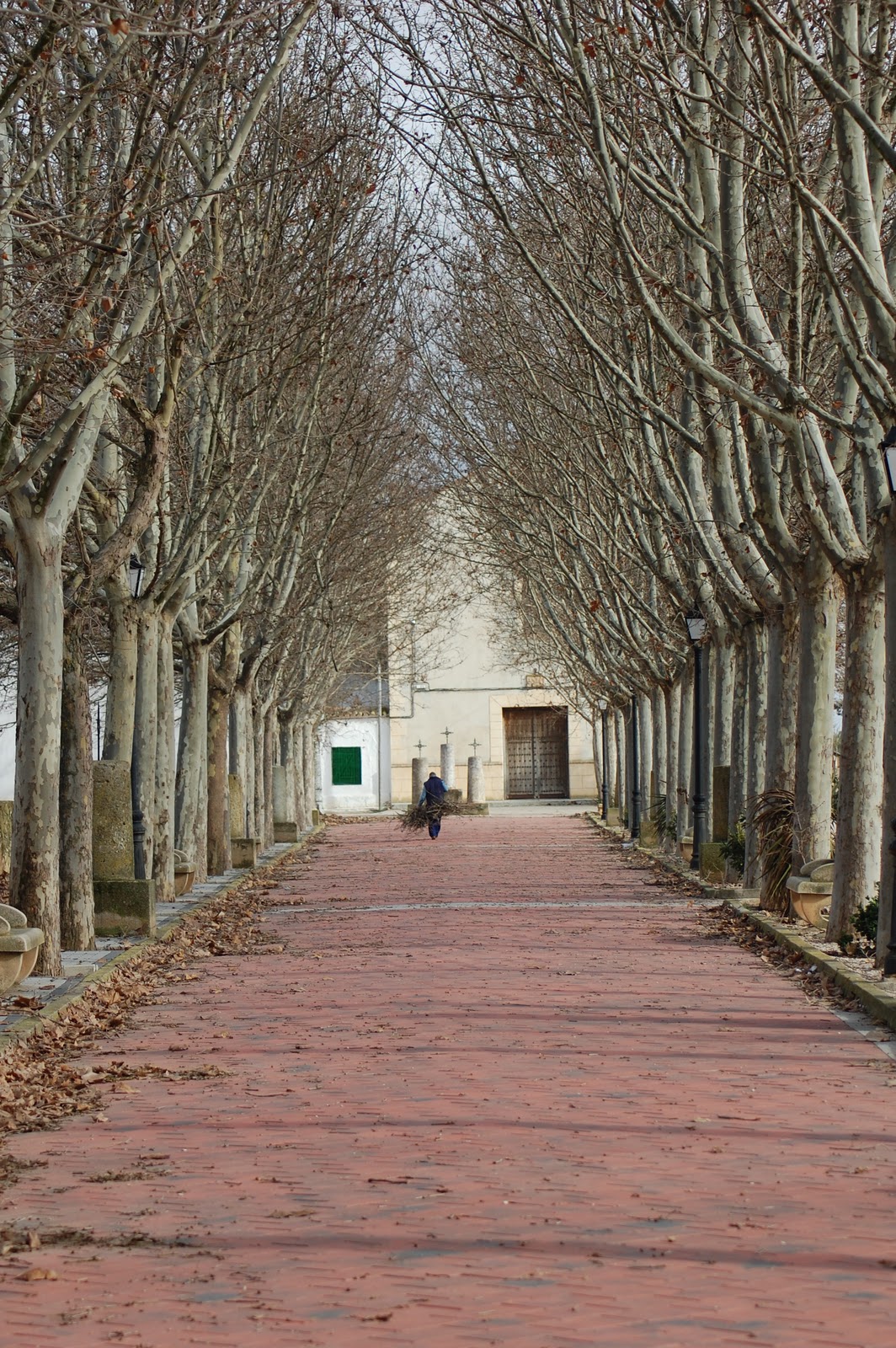mis fotografias: Santa Maria del Campo Rus