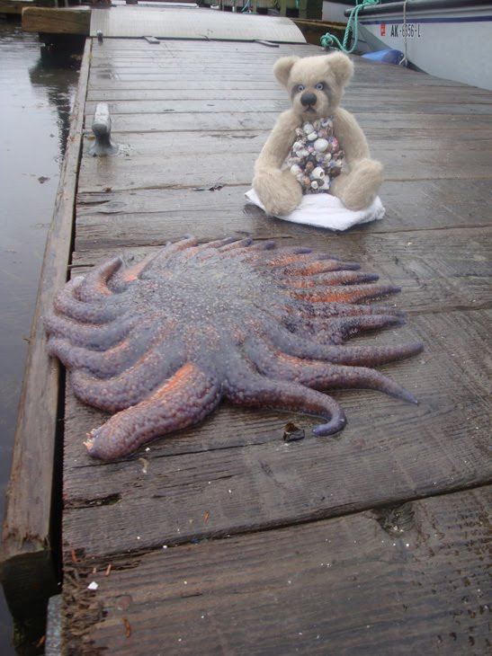 Our Seldovia: Minus 4 in Seldovia