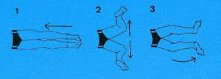 Swimming Teaching: Breaststroke Kick: Learn How To Swim 101 - the Leg ...
