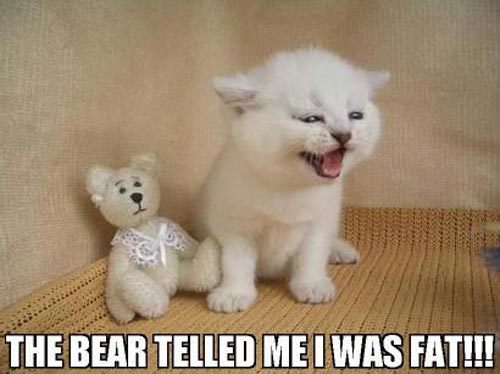 World of Saz: I Cannot Brain Today, I Have the Dumb