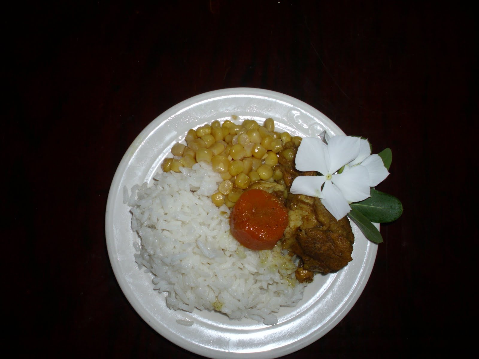 Small Hope Bay Lodge Andros Island Bahamas: Bahamaian Curry Chicken