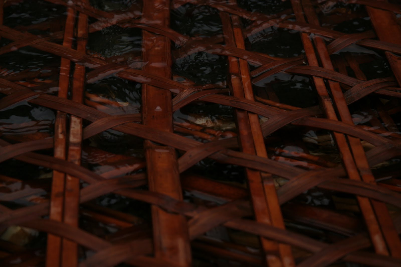 Japanese Textile Workshops 日本のテキスタイル ワークショップ: Wet Bamboo Silk Rearing ...