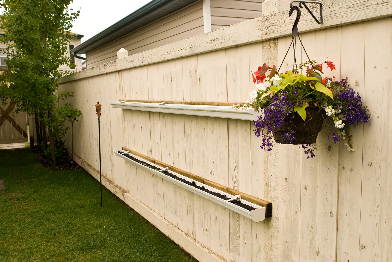 Candra Tinis Photography: Gutter Garden and what's popping up