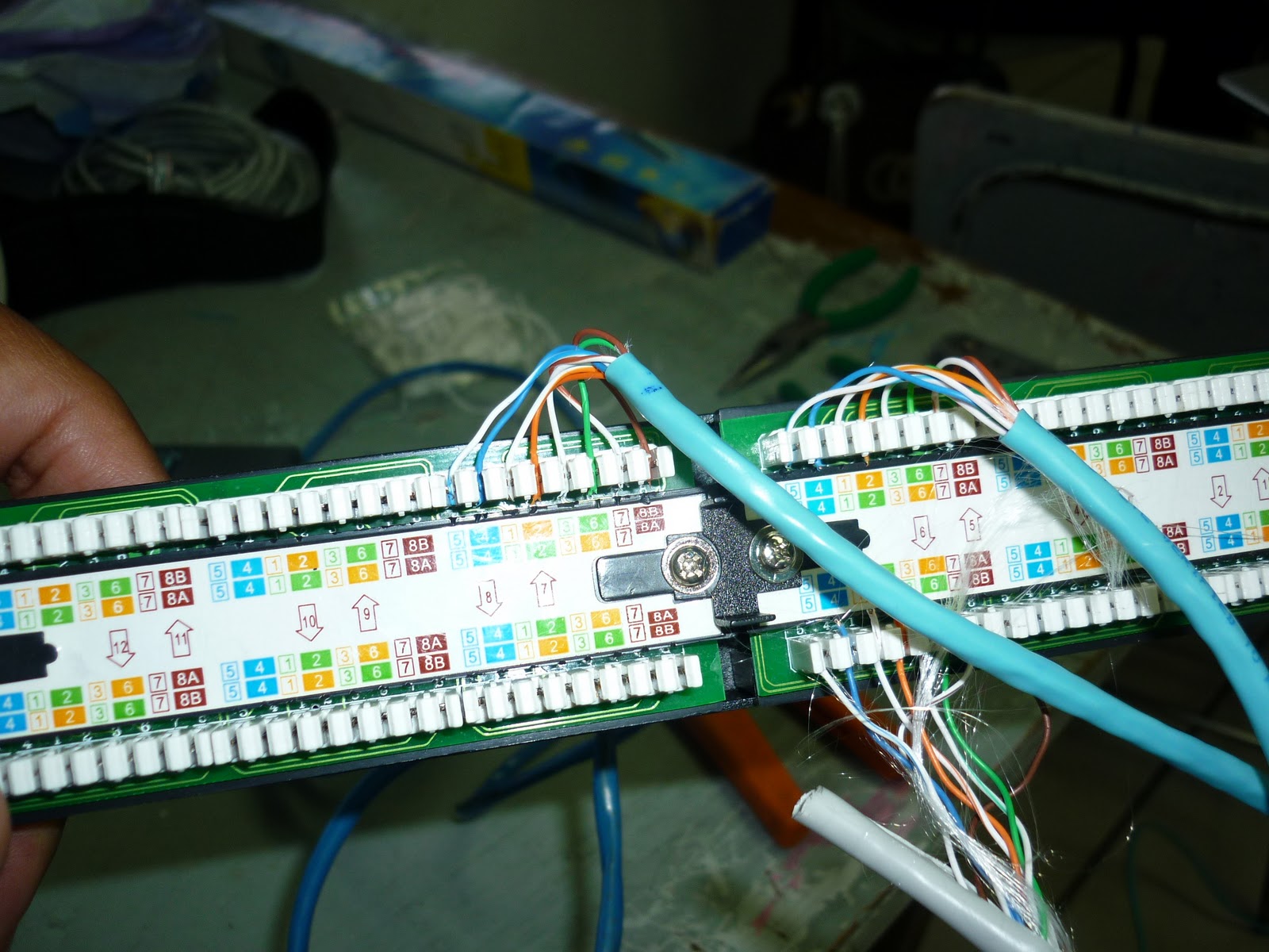 Redes: Práctica Patch Panel