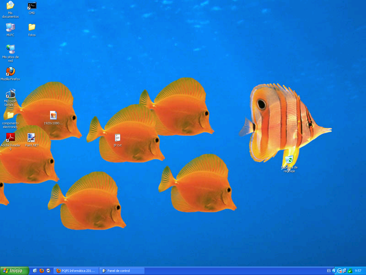 Adrián Guerrero PQPI 2010 - 2011: [MSI] A5: Escriptori Remot de Windows
