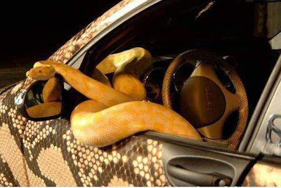 Car Painted Like Snake Skin ~ Splendid Pictures Around The Net
