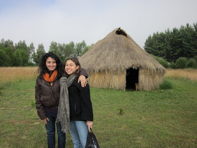 Chile Con Karen: Mapuche Artesanía
