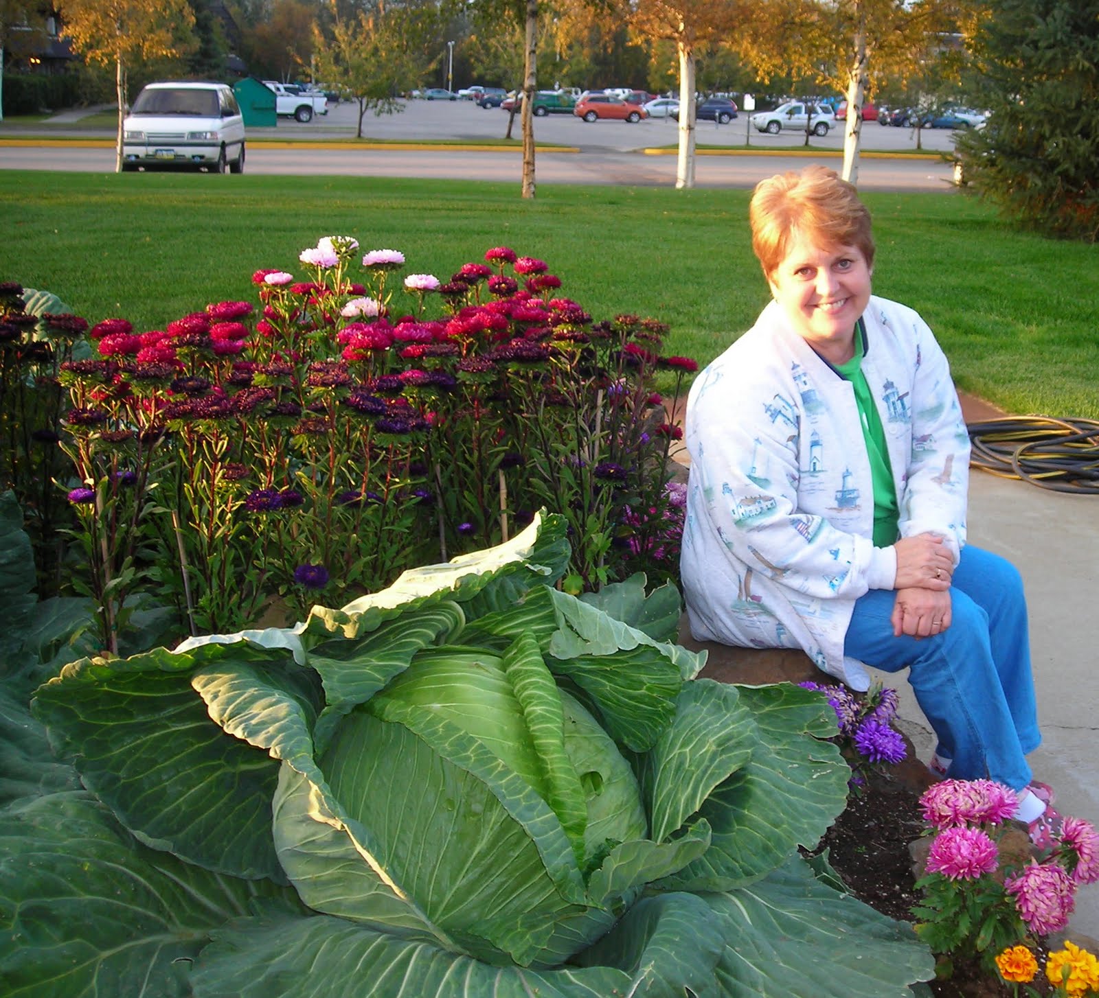 Northern Adventures: The land of the giant cabbage