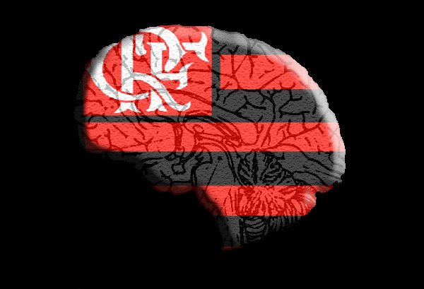 Setor de Neurociência da Psicologia do CR Flamengo