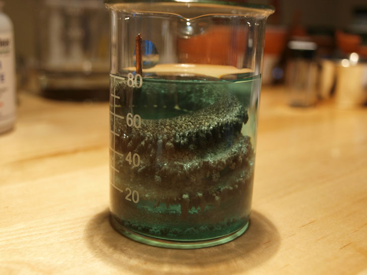 The Home Scientist: Experiment: Silver Tree
