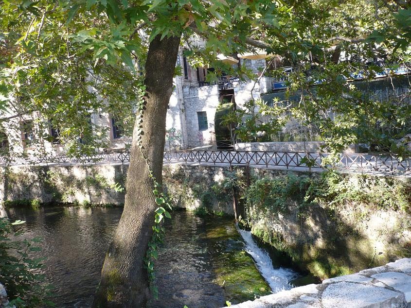 Trees of friendship.: The Plane trees of Levadia, a city of central Greece