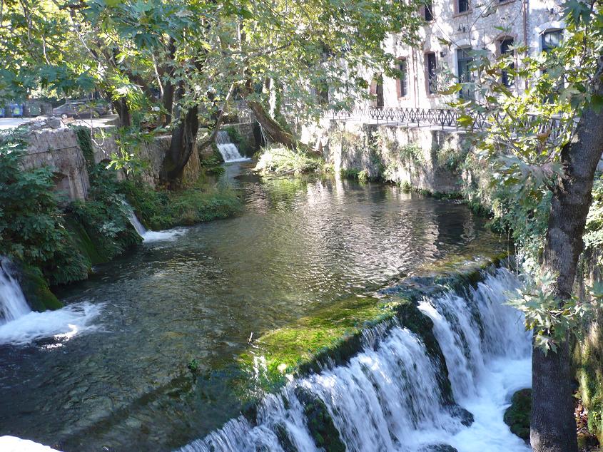 Trees of friendship.: The Plane trees of Levadia, a city of central Greece
