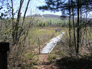 Hiking the Hills: Cranesville Swamp