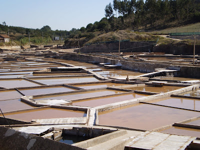O AÇOR: Marinhas de Sal de Rio Maior